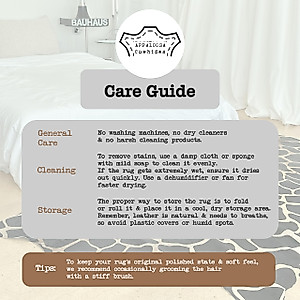 Animal Print Cowhide Rug Collection - Natural Cowhide Rugs for Living Room & Bedroom - Shiny & Modern Accent Rug - Genuine Leather & Fur Cow Hide Rug - Giraffe Large