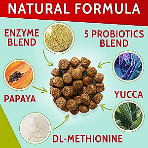 PAWFECTCHEW Green Lawn Chews for Dogs - Green Grass Chews - Urine Neutralizer Grass Burn Spots - Lawn Burn from Dog Urine - Probiotics & Enzymes - Made in USA - Bacon Flavor - 240 Lawn Saver Chews