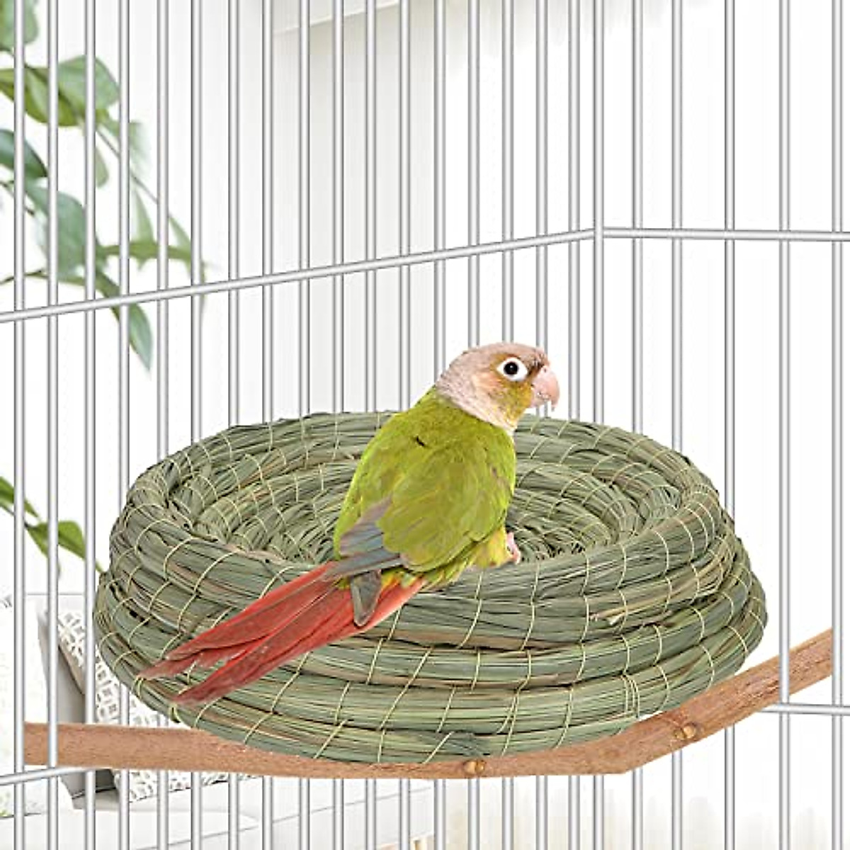Handwoven Straw Hatching Breeding Cave Bird Nesting Box Flat Base Grass Nest for Parrot Macaw African Greys Budgies Hamster Gerbil Chinchillas Bed House (L)