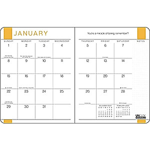 Unfu*k Yourself 12-Month 2023 Monthly/Weekly Planner Calendar: Get Out of Your Head and Into Your Life