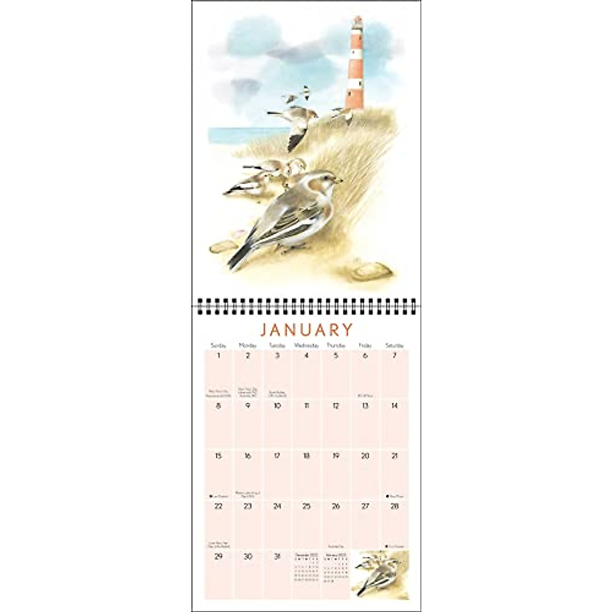 Marjolein Bastin 2023 Wall Calendar: Sea and Shore