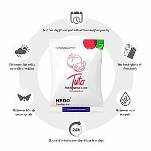 HEDO Pheromone Lure for Tomato Leaf Miner (Tuta absoluta Pheromone Lure) Pack of 20 to Control Damage in Tomato