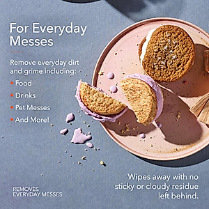 Sunbrella Clean Multi-Purpose Fabric Cleaner | All-in-One Solution for Water-Safe Fabrics and Vinyl | Upholstery Cleaner, Removes Stains & Spills | Non-PFAS | 16 fl oz