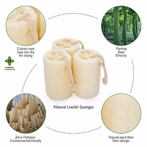 HUMINA Hot Bath Supplies Loofah,Natural Loofah Sponge Bath Body Exfoliation Natural Loofah 3 Pack of 5 inch