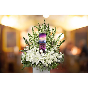 Scattering Urns for Human Ashes Adult - Eco Friendly Biodegradable Urns for Human Ashes - Cremation Urns for Adult Ashes - Scattering Tube - Biodegradable Urns for Human Ashes