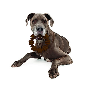 Nylabone 5 Pack of Power Chew Textured Ring Dog Toys, Souper, Flavor Medley, for Extreme Chewers Up to 50 Pounds