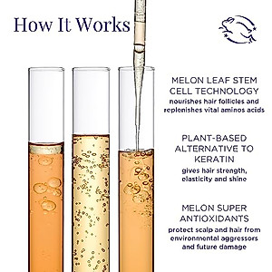 Meaningful Beauty Hair Age-Proof Hair Care System