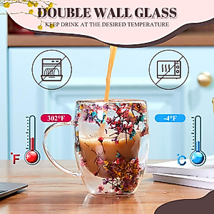 Rtteri 11.84 oz Double Wall Glass Coffee Mug with Bamboo Lid and Spoon Clear Eternal Flower Insulated Glass Coffee Mugs with Handle Double Glass Coffee Cup Glass Tea Cup for Cappuccino Latte Beverage
