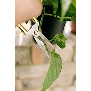 Premium Houseplant Scissors and Pruning Shears - Comfortable Grip Garden and Plant Clippers, Trimmers, Loppers, Flower Cutters, Made from 100% Stainless Steel