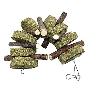 Shelltech Rabbit Chew Toys, Apple Twigs with Timothy Cakes Hanging Toys for Bunny, Rabbits, Chinchilla, Guinea Pigs, Hamsters (Timothy Cake - 2 Pack)