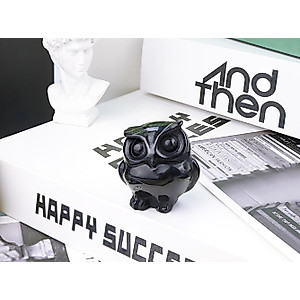 QINJIEJIE Black Obsidian Crystals Owl Figurines Natural Carved Stone Decor Polished Gemstone Statue Home Desk Gem Guardian Sculpture Room House Office Decorations Spiritual Owl Gifts for Women Men
