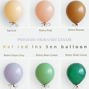 GULELAYAR 100 Pieces 5 Inch Retro Latex Balloons Retro Party Balloons for Birthday Wedding Engagement Baby Shower Graduation Party Art Performance Reveal Decoration