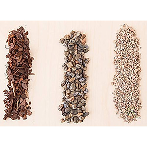 Bonsai Jack Succulent and Cactus Soil - Jacks Gritty Mix #111 - 2 Quarts – Fast Draining – Fight Root Rot – Optimized pH