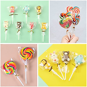 Augshy Cake Pop Bags, 300 Pcs 4x6 Treat Cello Bags for lollipop with 300 Twist Ties, 1.4 mils Thickness OPP Plastic Bags for Lollipop Candy Chocolate Cookie Wrapping