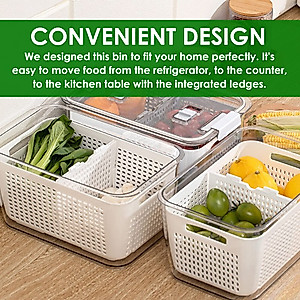 food containers storage