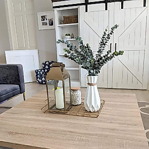 Ollain 5 Pcs Artificial Eucalyptus Greenery Stems Plants 29.5" Tall Fake Eucalyptus Leaves Spray Silver Dollar Eucalyptus Branches Plant for Home Garden Office Store Decoration