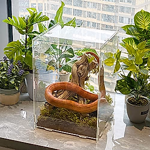 winemana Reptile Terrarium Aquarium Breeding Tank, 14.5" x 10.5" x 10" Acrylic Tarantula Enclosure Feeding Box Insect Habitat for Tarantula Spider Snake Lizard Hermit Crab Insect