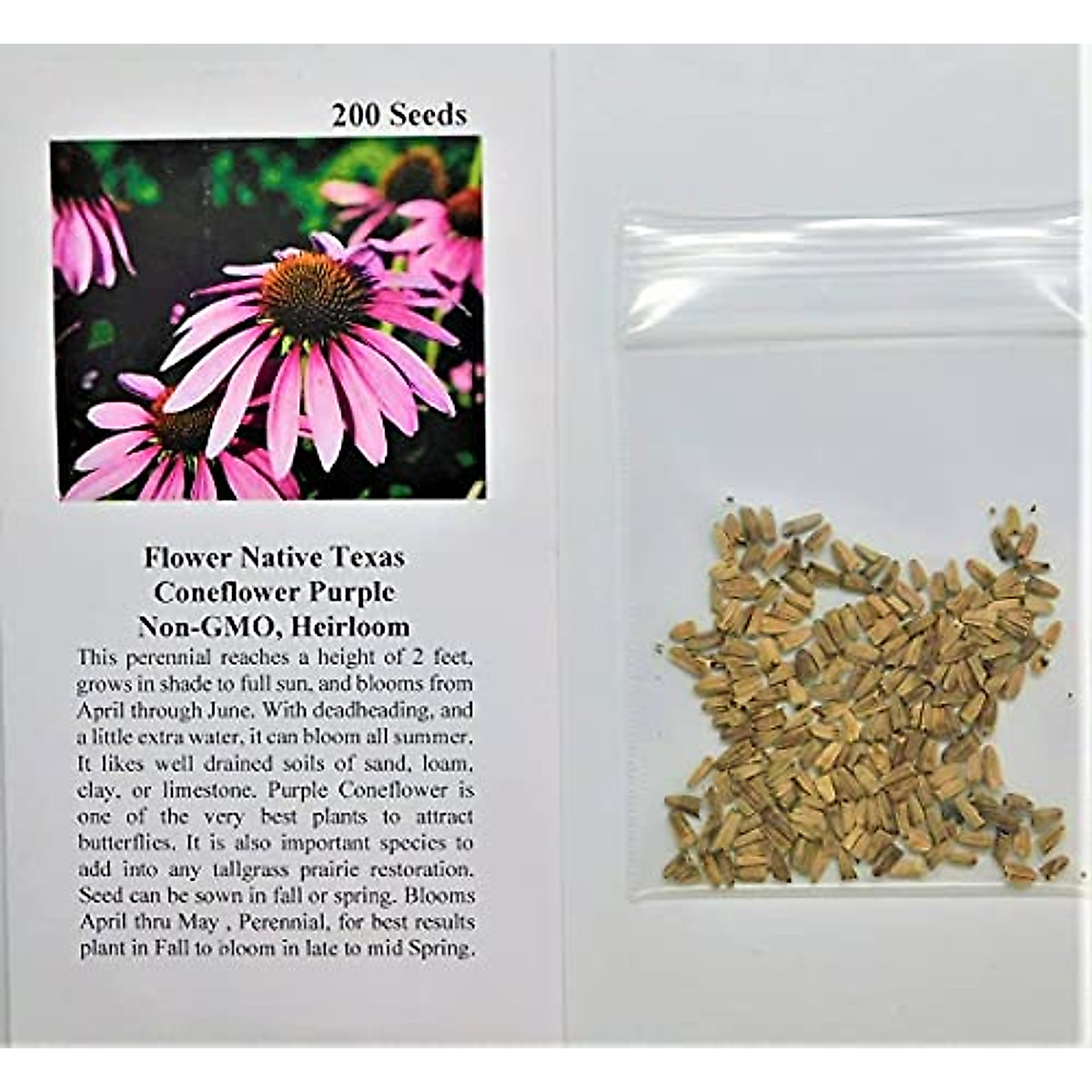 David's Garden Seeds Flower Native Texas Coneflower Purple 2424 (Purple) 200 Non-GMO, Heirloom Seeds