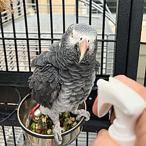 UnRuffledRx Aloe Vera Bird Bath Spray for Daily Care & Skin Health 8 Fl Oz - Soothe, Soften, and Protect Your Bird