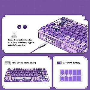 Heayzoki BT Mechanical Keyboard, Wireless RGB Gaming Keyboard, Hot Swappable Triple Modes 2.4G Wired BT Transparent Case Keyboard with 2 Layers Keycaps for Office School