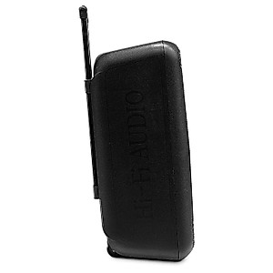 Dolphin SP-210RBT Dual 10" Bluetooth Party Speaker, Neon LED Lights, 3400W, Long-Lasting Battery, X-Bass, Trolley & Wheels