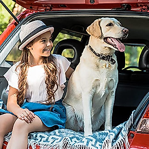 24 Pieces Blank Acrylic Dog Tag Bone-Shaped Acrylic Dog ID Tags with 24 Pieces Key Chain Rings for DIY Dogs and Cats Pet Name Number Tags Crafts Decorations, 1.49 x 1 Inch