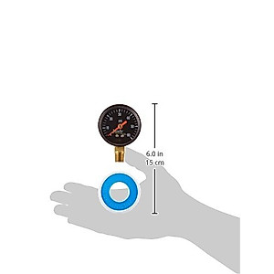 Zodiac R0556900 Pressure Gauge Replacement for Select Zodiac Jandy CS and CJ Series Cartridge Filter
