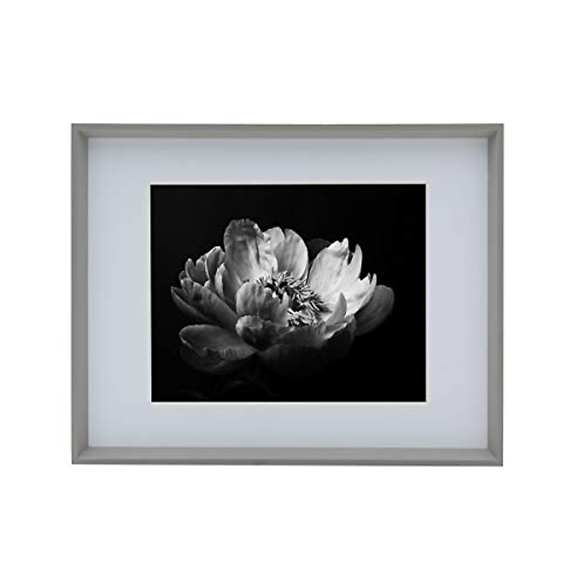 Studio Nova Picture Frame Displays 8 x 10 Photos 11 x 14 Without Mat, 11x14-Matted 8x10, Gray