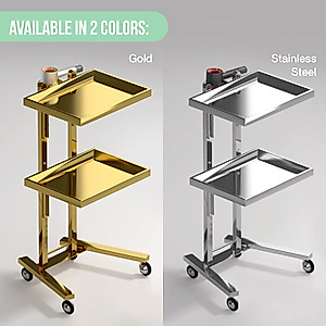 Multifunctional 2-Tray Utility Cart on Wheels - Gold 2-Level Medical Trolley Cart - Mobile Storage Tray Cart for Dental Tools, Cavitation Machine, Salon Supplies - Brass Foldable Storage Trays