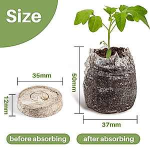 MAQIHAN 50PCS Peat Pellets for Seedlings - 35MM Seed Starter Pellets Peat Pods for Starting Seeds Garden Soil for Planting Transplanting Growing Garden Flower Vegetables Germination Propagation Tray