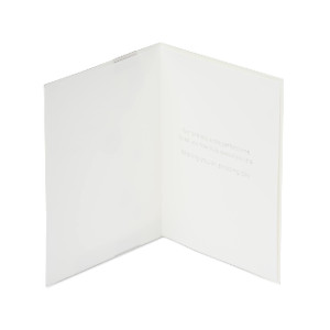 Papyrus Birthday Card (Truly Special)