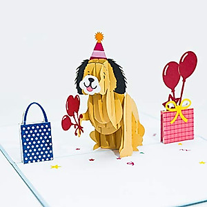 DKT HANDMADE 3D Greeting Cards, Pop up Card Cat, 3D Cat Cards, Pop up birthday card dog, Mother's Day pop up Card, Birthday pop up Card Mom, Animal & Nature Popup Cards Funny Kitten-Dog