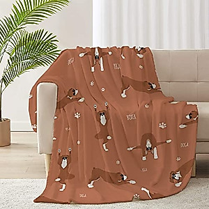 RICKYOUNG Boxer Dog Cute Fleece Flannel Lightweight Blankets Quilt Plush Soft Bedding Throw Blanket for Couch and Bed 40"x30" (Toddler) for Pet
