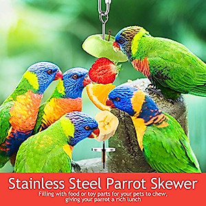 3PCS Bird Skewer Bird Food Holder Bird Feeders Stainless Steel Bird Parrot Skewer Small Animal Fruit Vegetable Holder Foraging Hanging Food Feeder for Parrots Cockatoo Cockatiel Cage (20, 16, 12 cm)