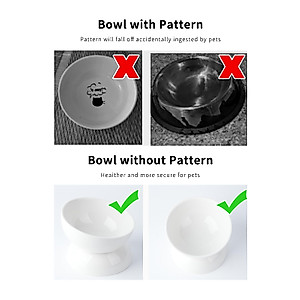 ABRUTY Cat Water Bowl, 16 OZ Ceramic Elevated Cat Dish, 15° Tilted and Raised Pet Food Bowl, Anti Vomiting Protect Pets' Spines and Whisker Fatigue