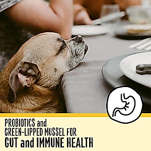 SmartyPants Dog Vitamins and Supplements, Senior Formula: Multivitamin with Glucosamine, Chondroitin, & Probiotics for Joint, Skin, & Gut Support, Peanut Butter Flavor, 60 Soft Chews by SmartyPaws