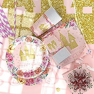 Princess Party Decorations, 145 PCS Princess Birthday Decorations, Princess Birthday Party Supplies Includes Princess Banner Paper Plates and Napkins Cups Balloons