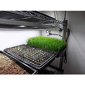 Bootstrap Farmer 1020 Trays - Extra Strength No Holes, 5 Pack, for Propagation Seed Starter, Plant Germination, Seedling Flat, Fodder, Microgreens