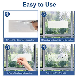 Window Fly Traps Indoor Clear 50 Pack, Sticky Indoor House Fly Trap Catcher Killer Paper for Home Non-Toxic and Pesticide-Free