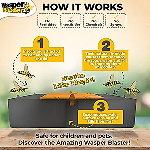 Discover Wasper Blaster™ New 2022 Patent Pending Trap for Yellow Jackets, Wasps, Hornets and Even Flies. Exclude or Include Bees if Desired.