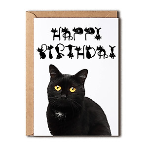Greeting Card Cat Happy Birthday Card With Cats - Black Cat Birthday Card - Funny Cards - Cat Lovers - Cute Cat Birthday Card - Funny Cat Cards