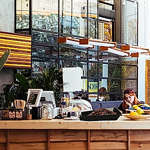 Zerodeko 2 Pcs Coffee Cupping Sample Tray Reusable Plate Plastic Dish for Scooping and Weighing Coffee Beans Home Kitchen Use Black 200g