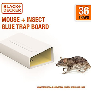 BLACK+DECKER Mouse Trap & Fly Trap- Mouse Traps Indoor for Home- Pest Control Sticky Traps & Spider Traps- Pre-Baited Glue Traps for Mice, Spiders, Cockroaches and Other Insects, 36 Pack