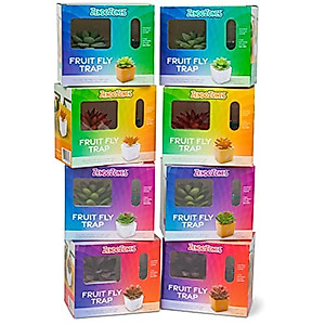 ZendoZones Fruit Fly Trap with Zendo Lure, Tranquil Tabitha with Plastic, terracotta Base, Refillable and Reusable, Long-Lasting