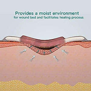 Dimora Ag Silver Calcium Alginate Wound Dressing Pads, 4'' x 4'' Patches, 5 Individual Pack, Highly Absorbent Dressing, Non-Stick Sterile Gauze