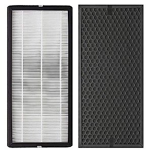 XD6065 Activated Carbon & XD6075 True HEPA Replacement Filter, Compatible with Rowenta PU4020 Intense Pure Air Purifiers, 1 Carbon Odor Eliminator & 1 True HEPA Allergen Remover