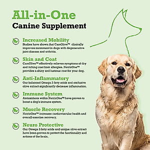 Camelina Oil for Dogs, Dog Skin and Coat Supplement All-Natural Supplements, Support Hearts, Joints, Coats, Skin and Anti-inflammatory Systems, Protective & Maintenance Care, 16 oz by NatrixOne