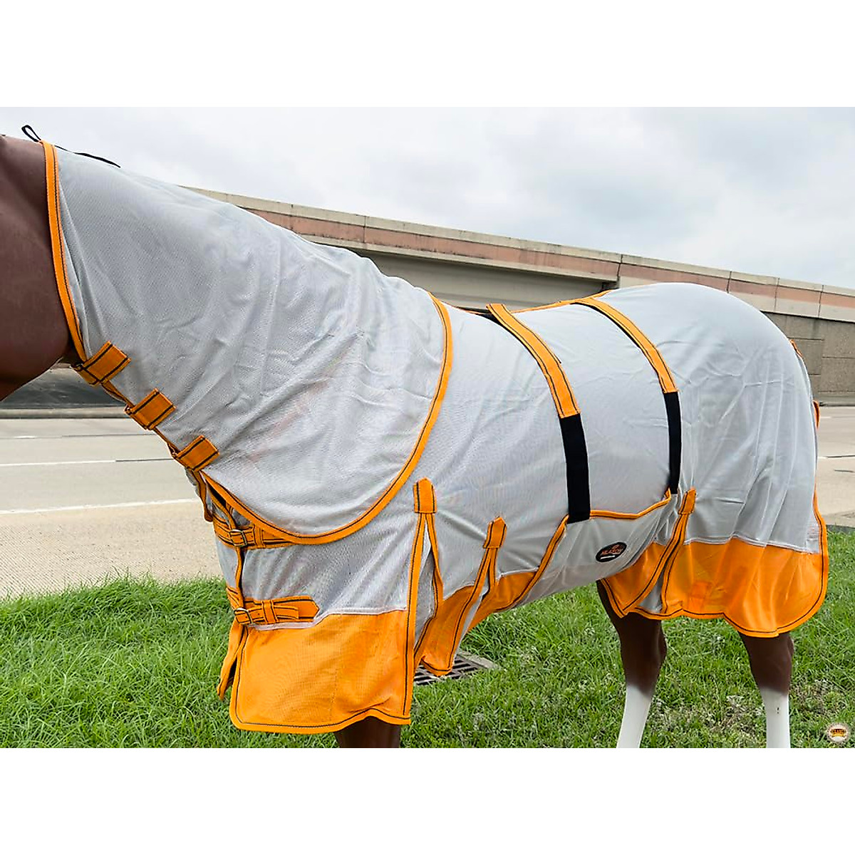 HILASON 78" Inches Horse Fly Sheet with Neck UV Protect Mesh Bug Mosquito Summer White/Orange | Horse Fly Sheet | Horse Western Fly Sheet | Fly Sheets for Horses | Mosquitoes Protection for Horses