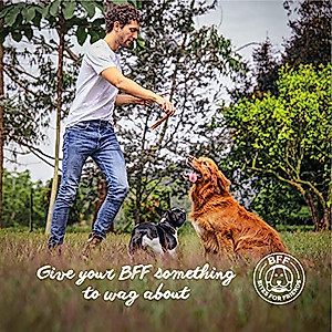 BFF Bully Sticks 6 inch (10 Count) - Long Lasting Dog Treats - Natural No-Hide Grain-Free Gluten-Free Dog Chews - Low Odor Bully Sticks - Thick Bully Sticks for Small and Medium Dogs