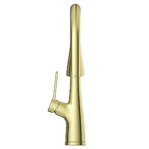 Pfister LG529-NEBG Neera Pull Down Kitchen Faucet, Brushed Gold
